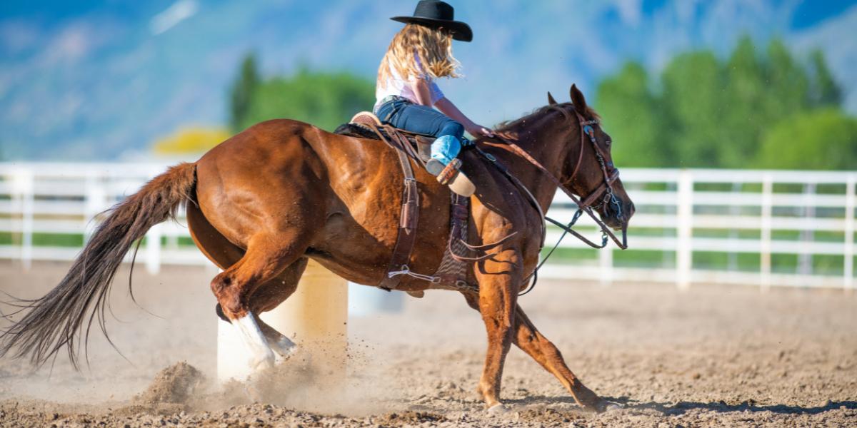 Fun Facts about the American Rodeo - Black History