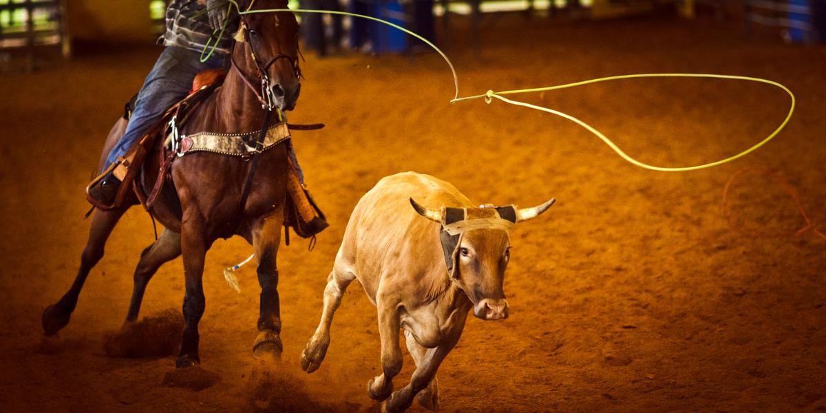 Fun Facts about the American Rodeo - Black History